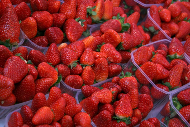 Fresh Strawberries on the Market in the Old Jerusalem, Israel Stock ...