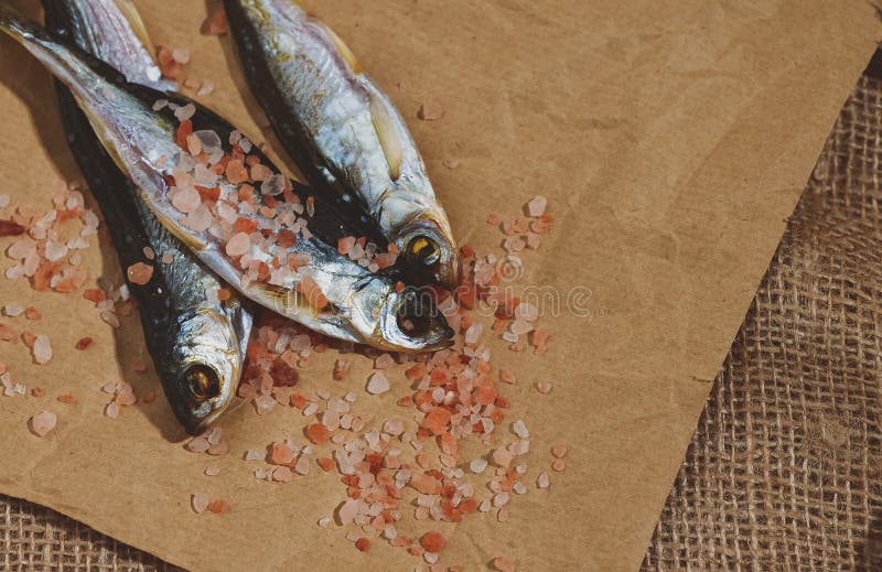 Lots of sun dried fish stock image. Image of closeup - 241487075