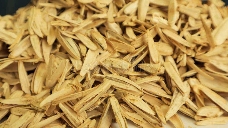 Trash Closeup, Plastic Waste and Garbage in Recycling Factory Stock ...