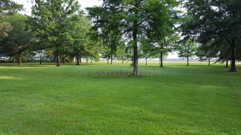 Wide open spaces stock photo. Image of spaces, wide - 122145410