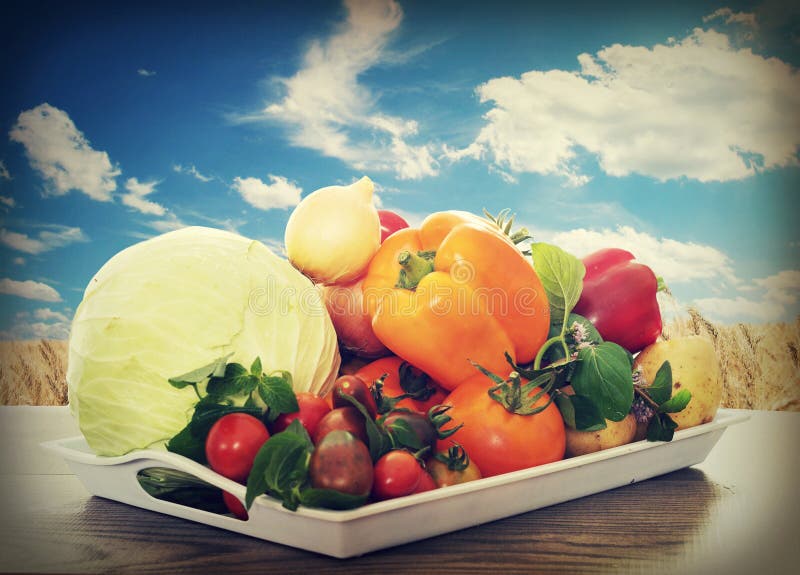 Lots of vegetables stock photo. Image of toning, cabbage - 58650126