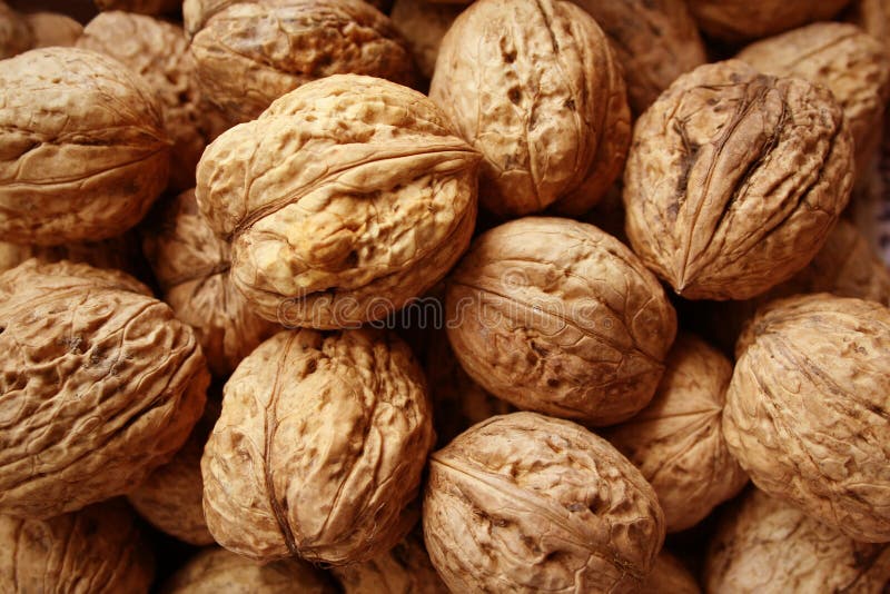 Walnut stock image. Image of yellow, walnut, macro, shelled - 13634665