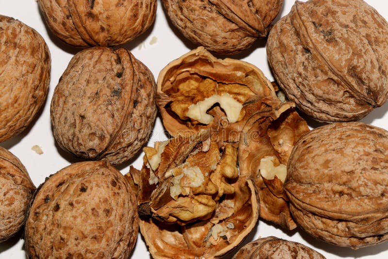 Lots of Walnuts and One Broken Walnut Stock Photo - Image of dish ...