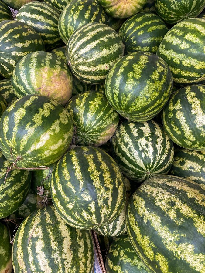 Lots Watermelons Healthy Nutrition Berries Background Stock Photos ...