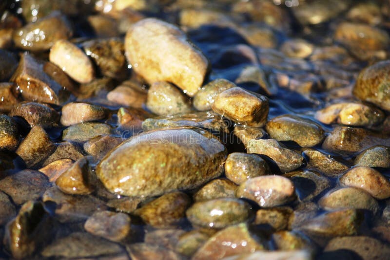 Lots of Wet Rocks on a Sandy Beach Stock Image - Image of rocks, stone ...