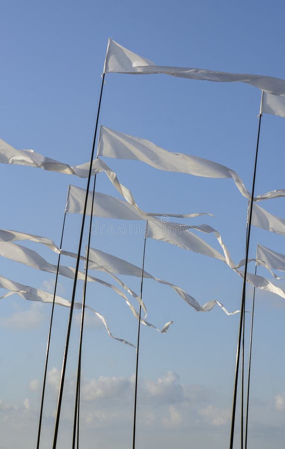 Lots of White Flags on Long Flagsticks Flapping in the Wind Stock Photo ...