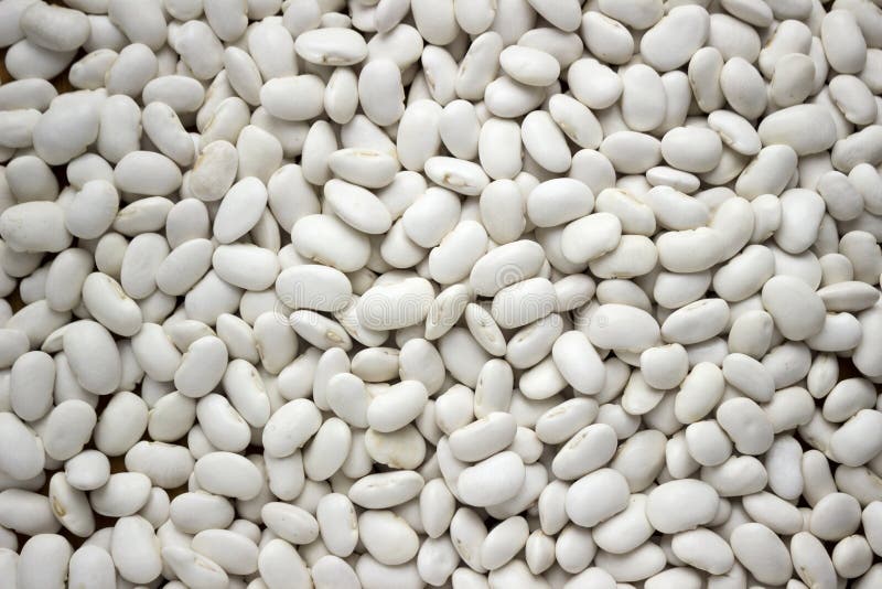 Lots of White Large Beans, Top View, Background. Legumes Stock Photo ...