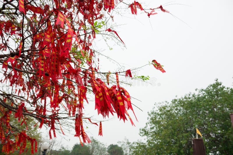Lots of Wishing Ribbon Hanging Stock Photo - Image of horizontal ...