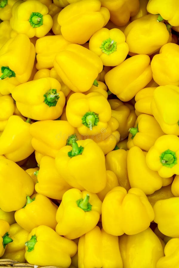 Lots of yellow peppers stock image. Image of green, colorful - 107718079