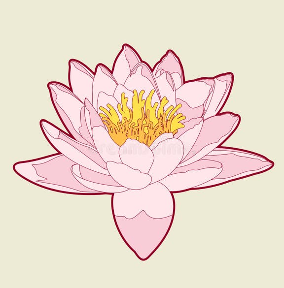 Detailed Lotus Drawing Stock Illustrations – 3,210 Detailed Lotus ...