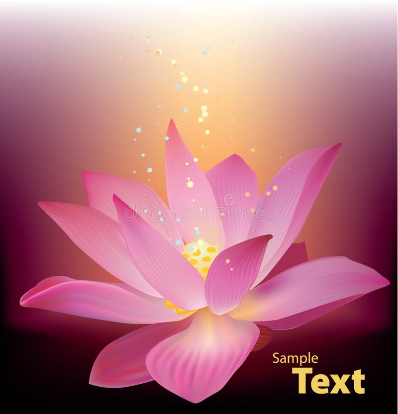 Multicolor lotus stock vector. Illustration of abstract - 19411073