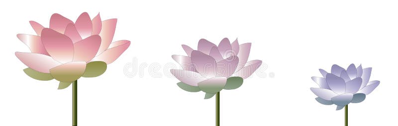 Lotus Banner stock illustration. Illustration of flowers - 5417131