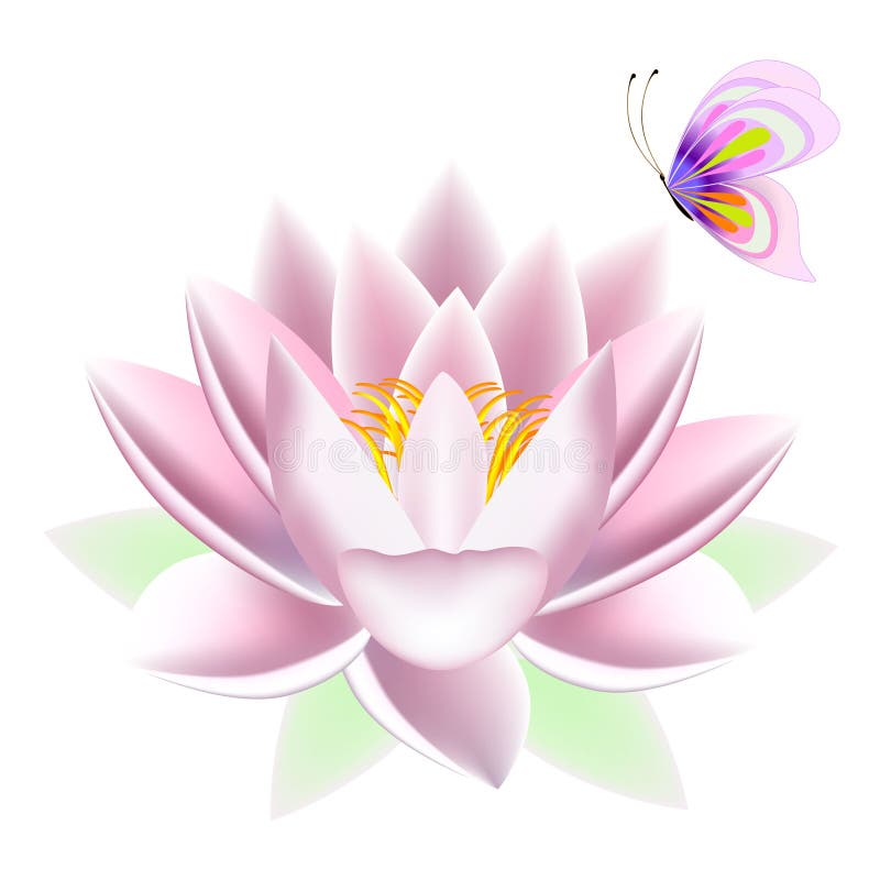 Lotus Butterfly Stock Illustrations – 3,262 Lotus Butterfly Stock ...