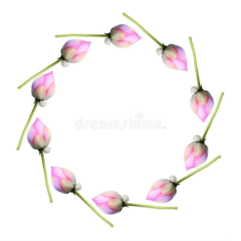 Lotus Circle Stock Illustrations – 15,363 Lotus Circle Stock ...