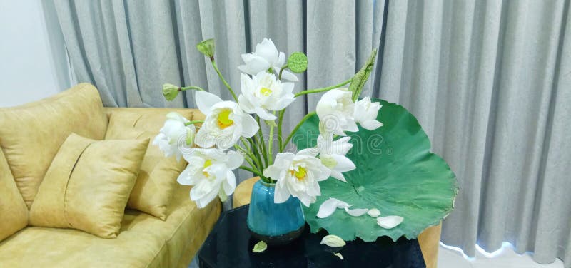Decor home with Lotus stock photo. Image of decor, green - 221089584