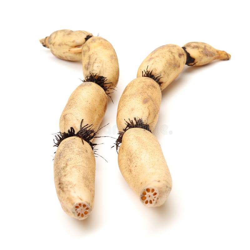 Lotus Es Una Clase De Comida Tradicional China Imagen de archivo ...