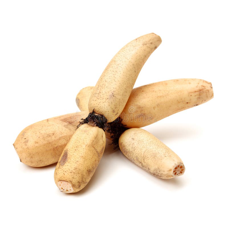 Lotus Es Una Clase De Comida Tradicional China Foto de archivo - Imagen ...