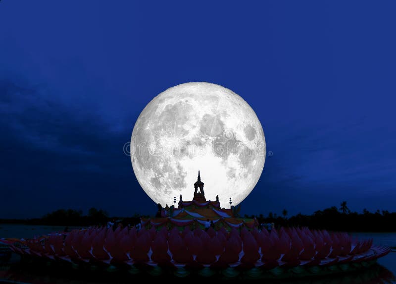 341 Lotus Moon Night Photos - Free & Royalty-Free Stock Photos from ...