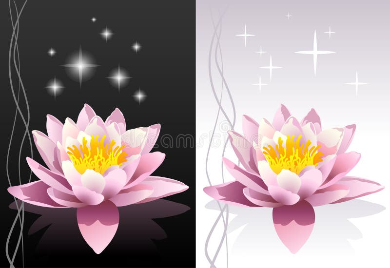 Lotus flower stock vector. Illustration of lotus, card - 12451695