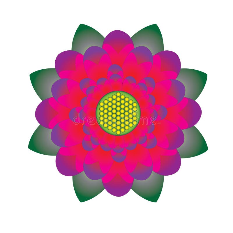 Lotus Flower with Bloomed and Colourful. Stock Vector - Illustration of ...