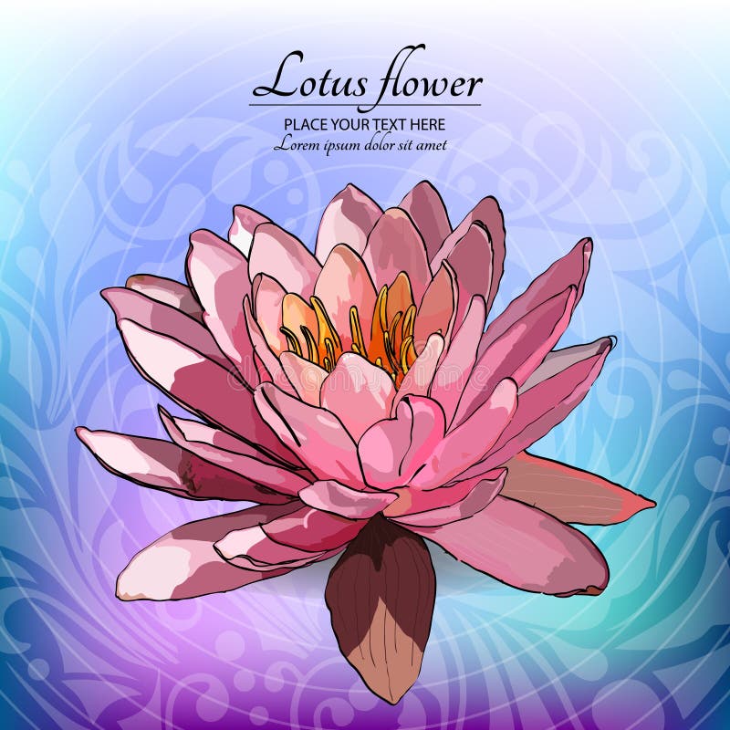 Lotus Flower on the Decorated Background. Floral Card. Stock ...