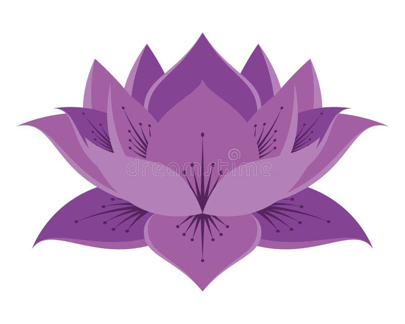 Lotus flower design stock illustration. Illustration of bloom - 318913864
