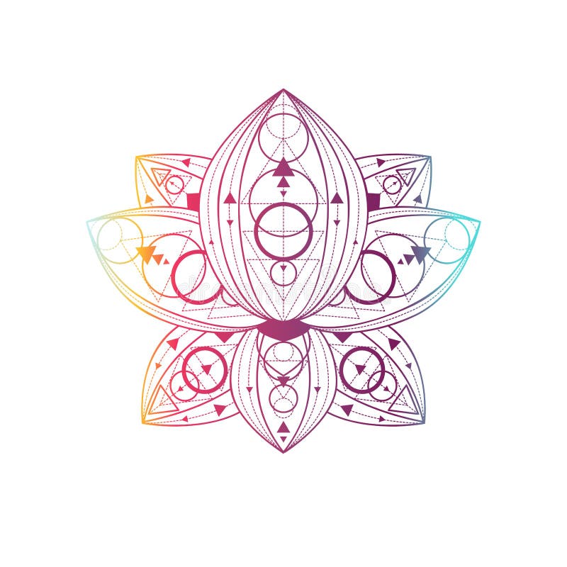 Lotus Flower with Geometric Pattern Vector Linear Illustration Stock ...
