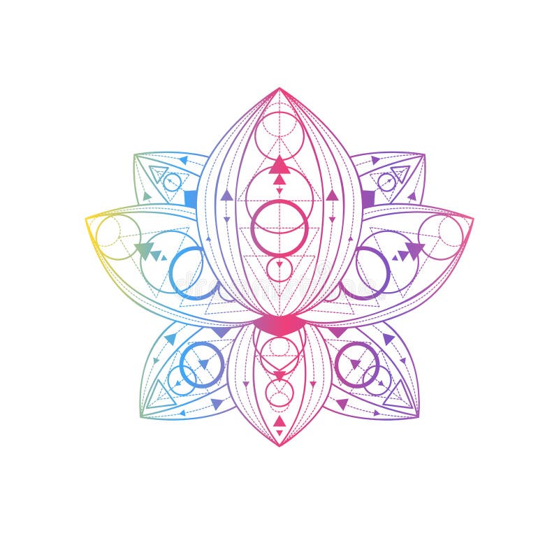 Lotus Flower With Geometric Pattern Vector Linear Illustration Stock ...