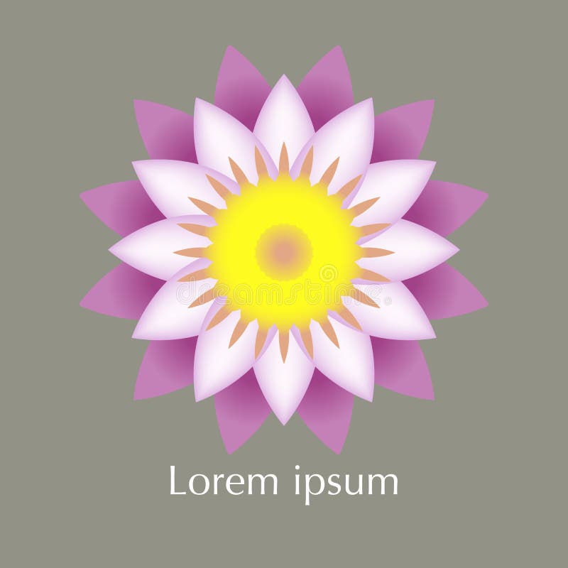 Lotus flower stock illustration. Illustration of flora - 48472116
