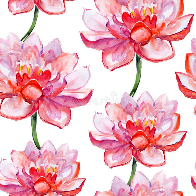Lotus Flower Pattern. Watercolor. Stock Illustration - Illustration of ...