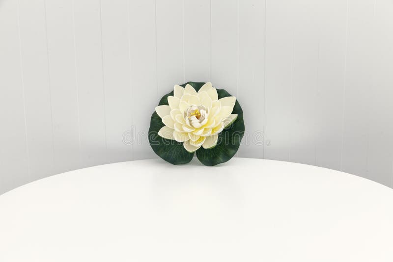 Lotus Flower on a White Table Stock Photo - Image of leaves, beauty ...