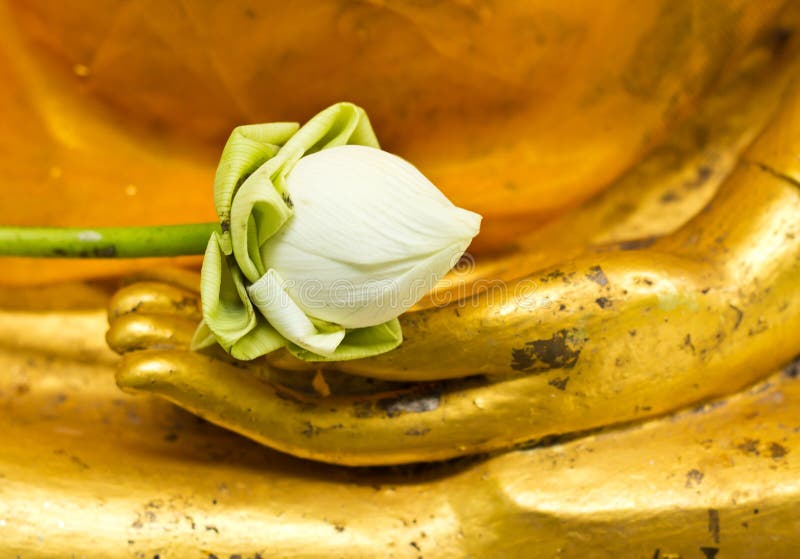 Lotus in Hand Buddha Statue Stock Photo - Image of culture, color: 27169672