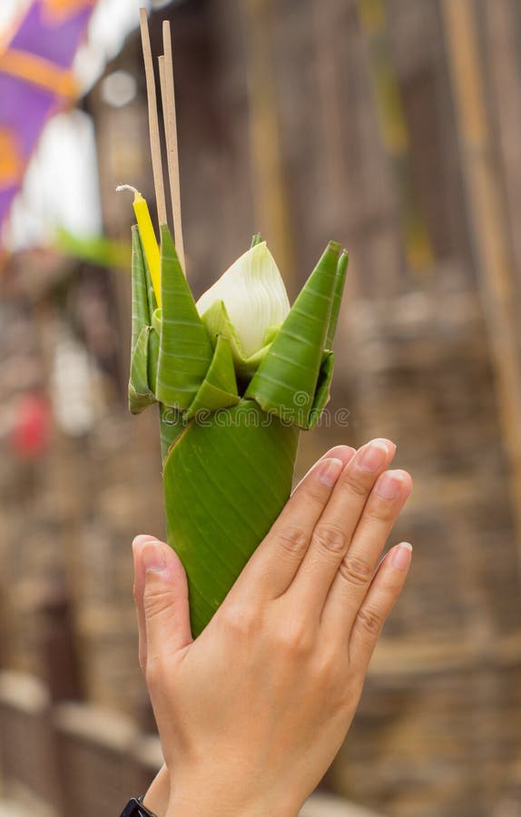 Lotus in hands. stock photo. Image of faithful, hand - 70383928