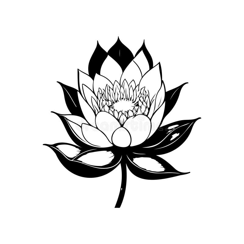 Lotus Icon Hand Draw Black Flower Logo Symbol Perfect Stock Vector ...