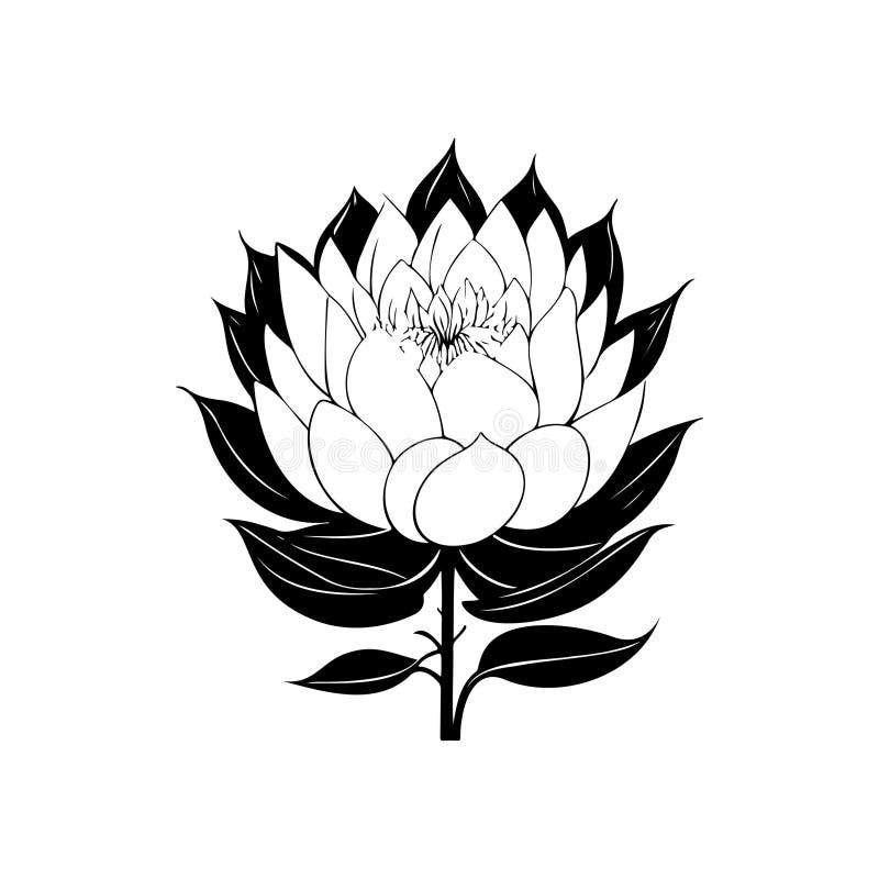 Lotus Icon Hand Draw Black Flower Logo Symbol Perfect Stock Vector ... Lotus Icon Hand Draw Black Flower Logo Symbol Perfect Stock Vector ...