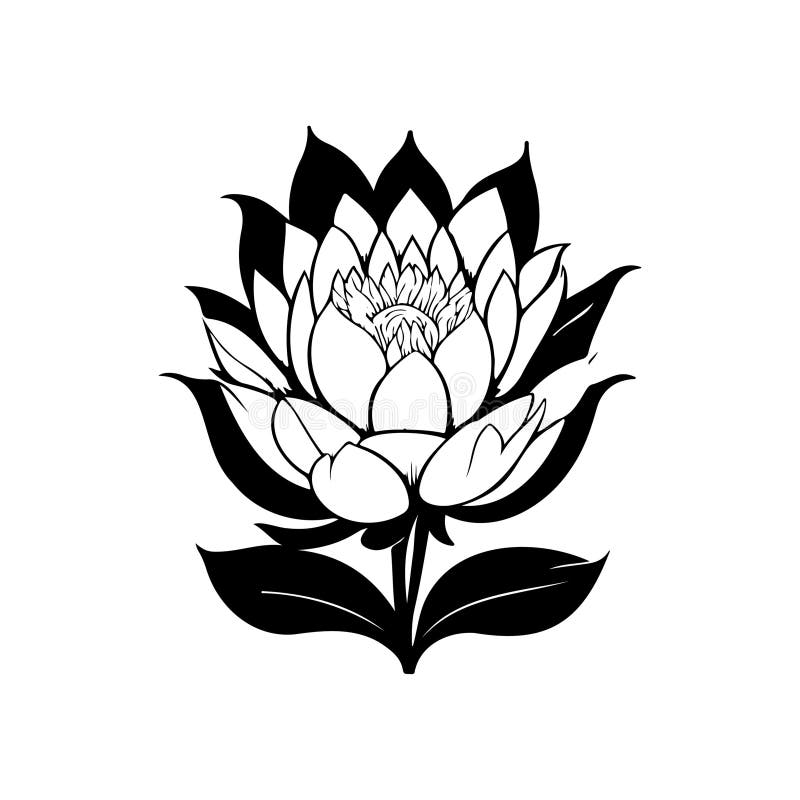 Lotus Icon Hand Draw Black Flower Logo Symbol Perfect Stock Vector ...