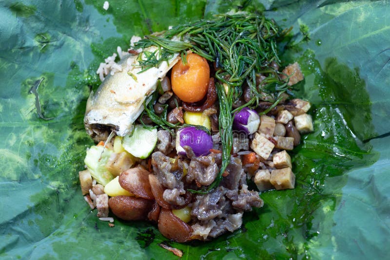 Lotus Leaf-wrapped rice. stock photo. Image of meat - 115593834