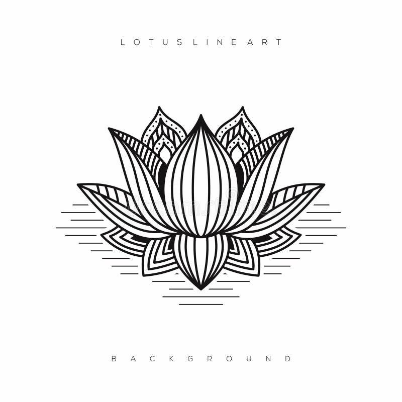 Lotus line flower design stock vector. Illustration of wedding - 56156754