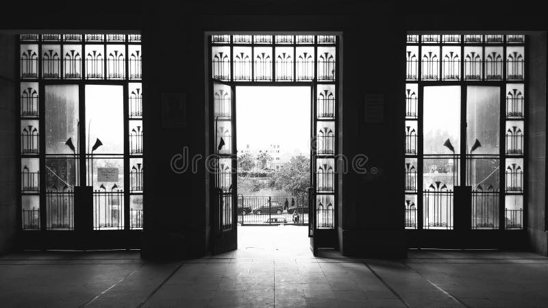 Lotus stock photo. Image of lotus, flower, greyscale - 97407118