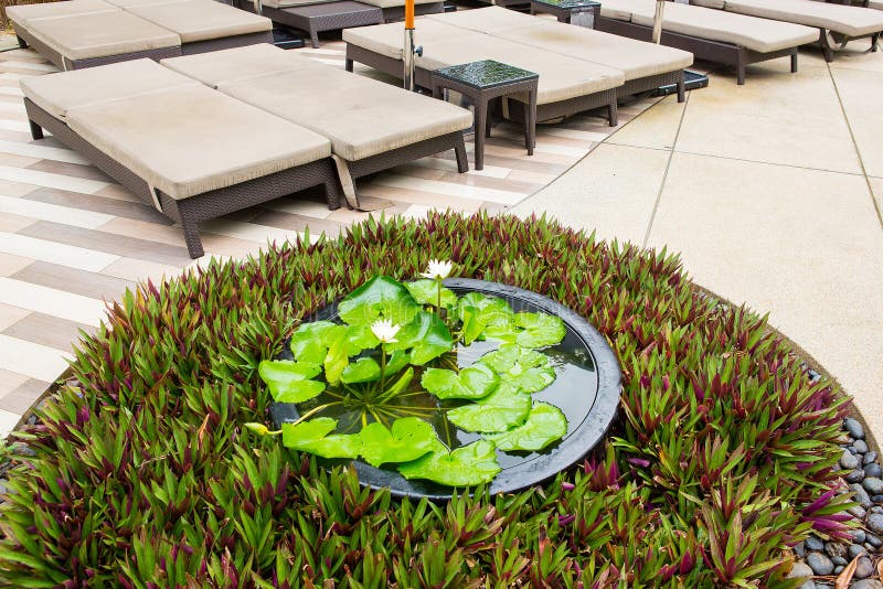 Lotus Planting Basin in the Garden of the Hotel Stock Photo - Image of ...