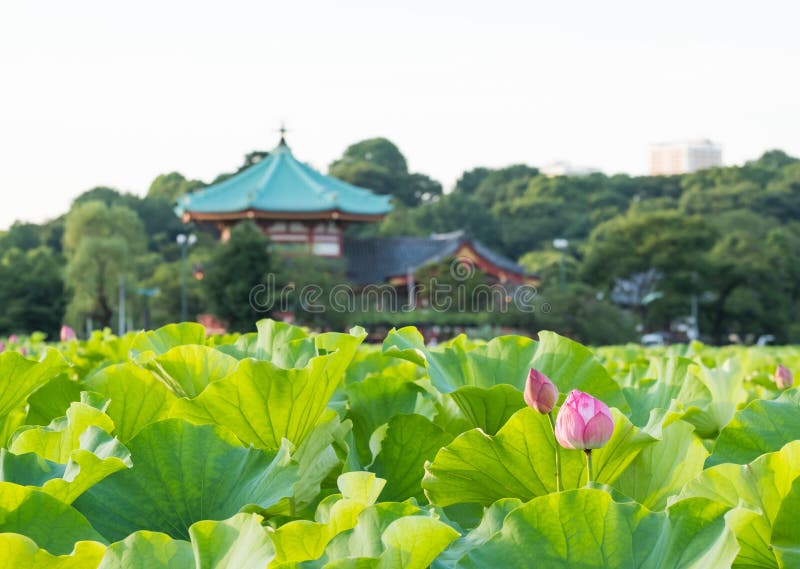 Gojo Tenjin Shinto Shrine in Ueno Park, Tokyo, Japan Editorial ...