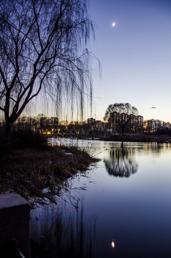 The Lotus Pool by Moonlight Stock Image - Image of grass, moon: 67879721