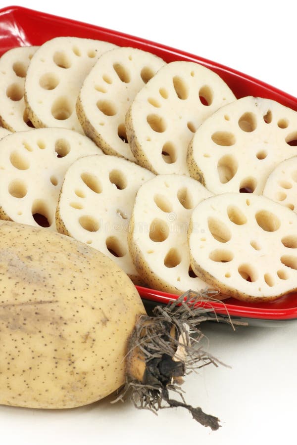 Lotus root stock image. Image of chinese, isolation, pierced - 14168473