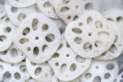 Lotus root stock photo. Image of dissected, orbicular - 18684676