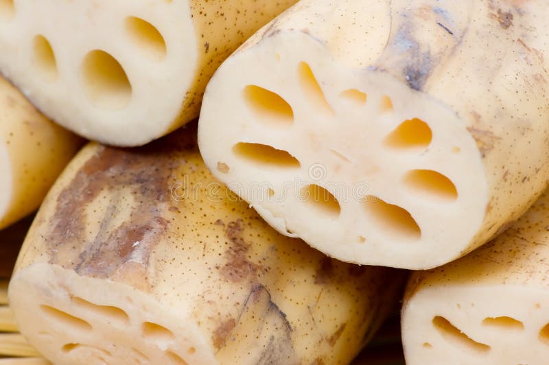 Lotus root stock photo. Image of organic, vegetable, healthy - 28469886