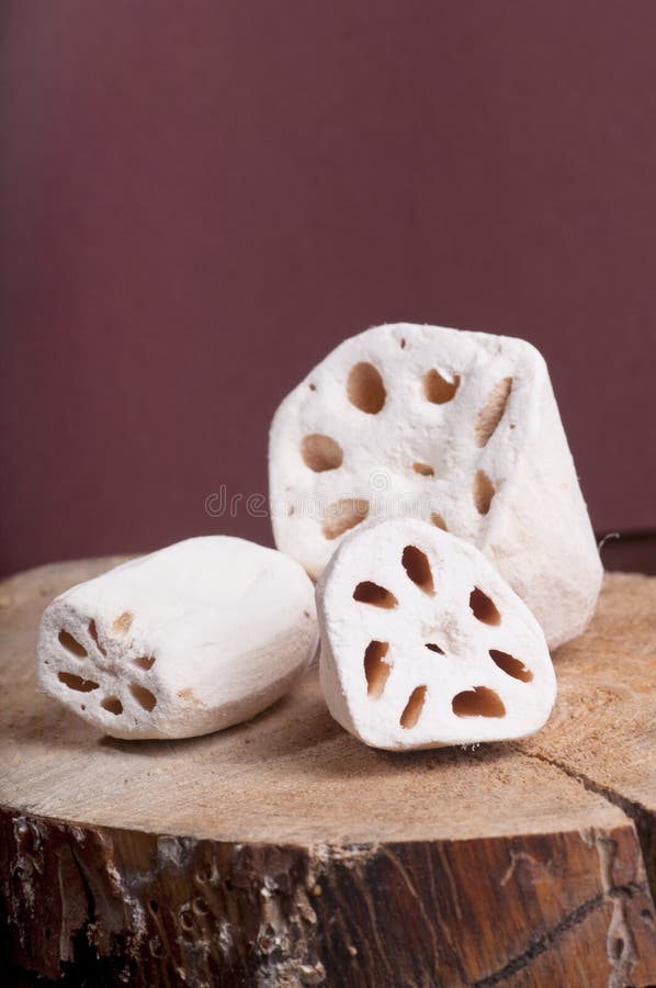 Lotus root stock photo. Image of herbology, crop, orient - 37047186