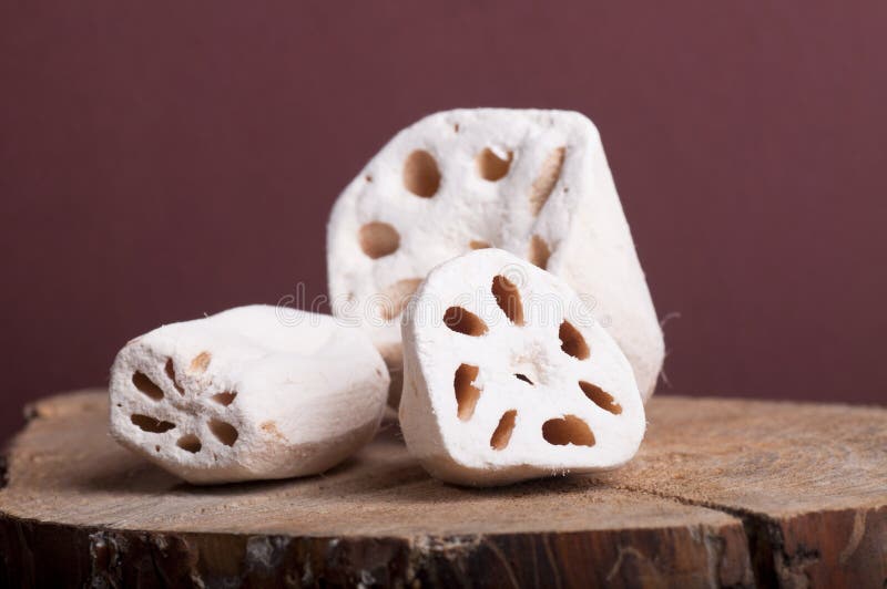 Lotus root stock image. Image of piece, chinese, medical - 37048723