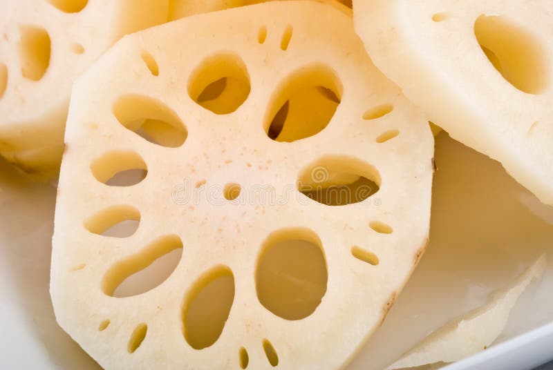 Lotus root stock image. Image of holey, oriental, food - 6160147