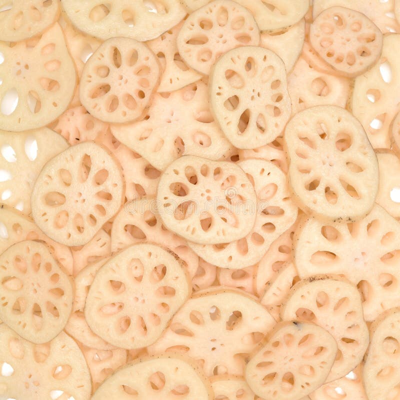 547 Lotus Root Slice Stock Photos - Free & Royalty-Free Stock Photos ...