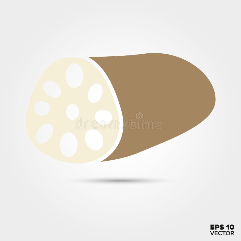 Lotus Root Vegetable Vector Icon Stock Vector - Illustration of rhizome ...